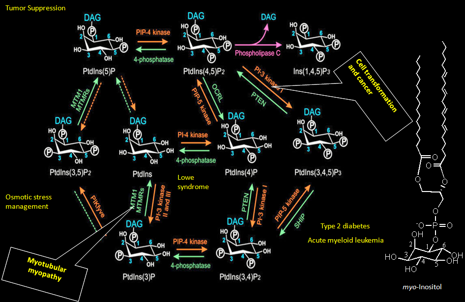 Untitled [fac.iitg.ac.in]